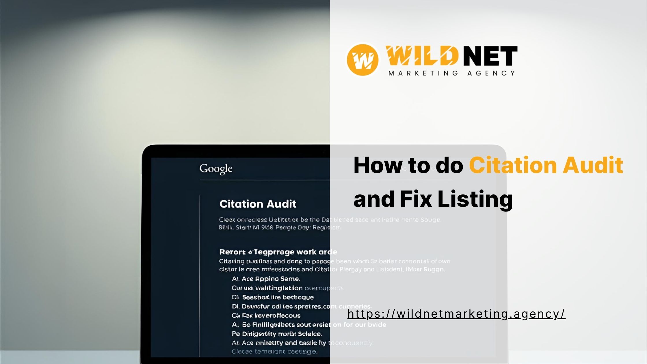 How to do Citation Audit and Fix Listing